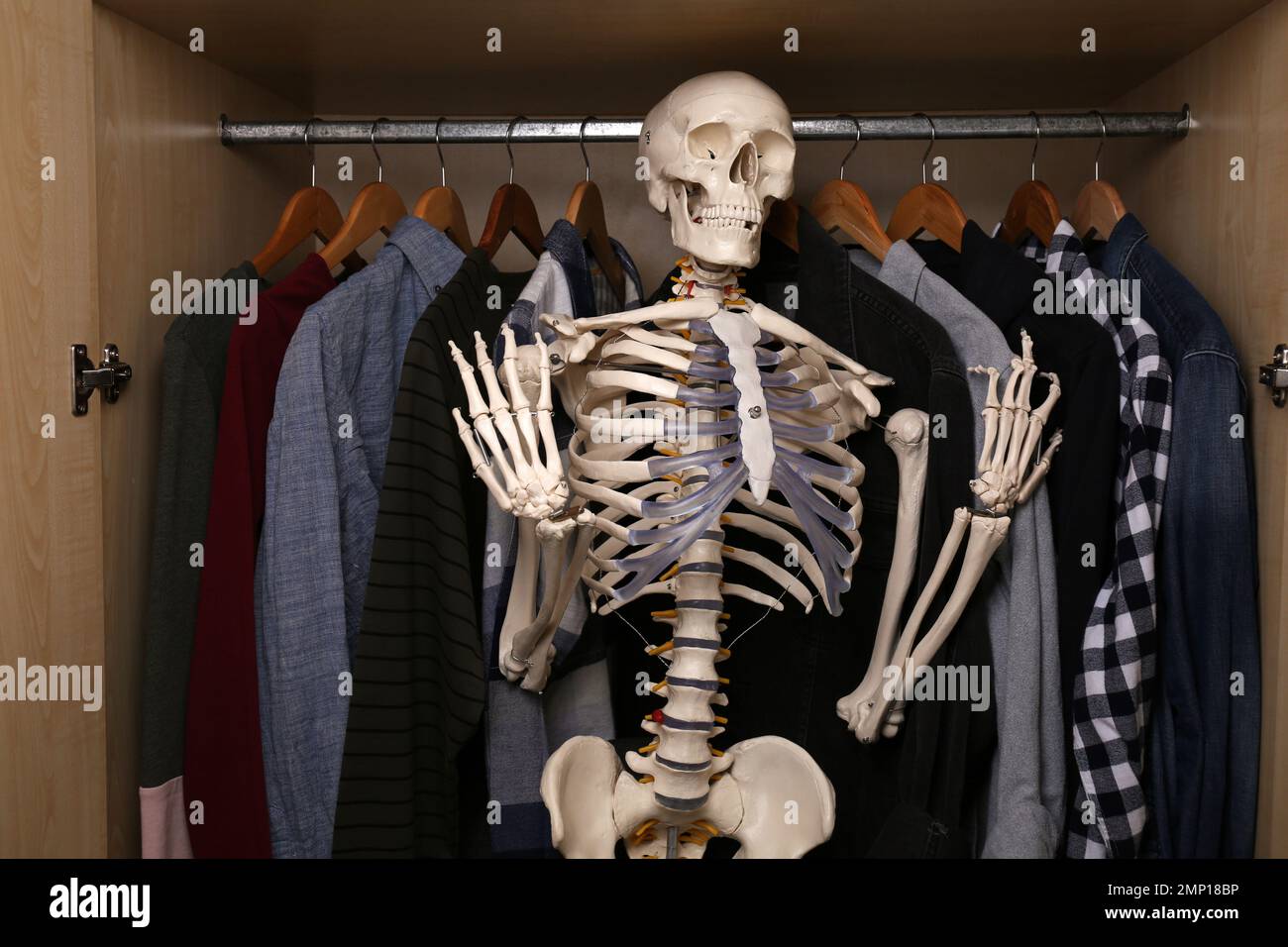 Artificial human skeleton model among clothes in wardrobe Stock Photo ...