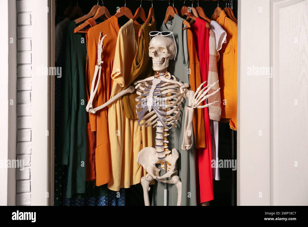 Artificial human skeleton model among clothes in wardrobe Stock Photo ...