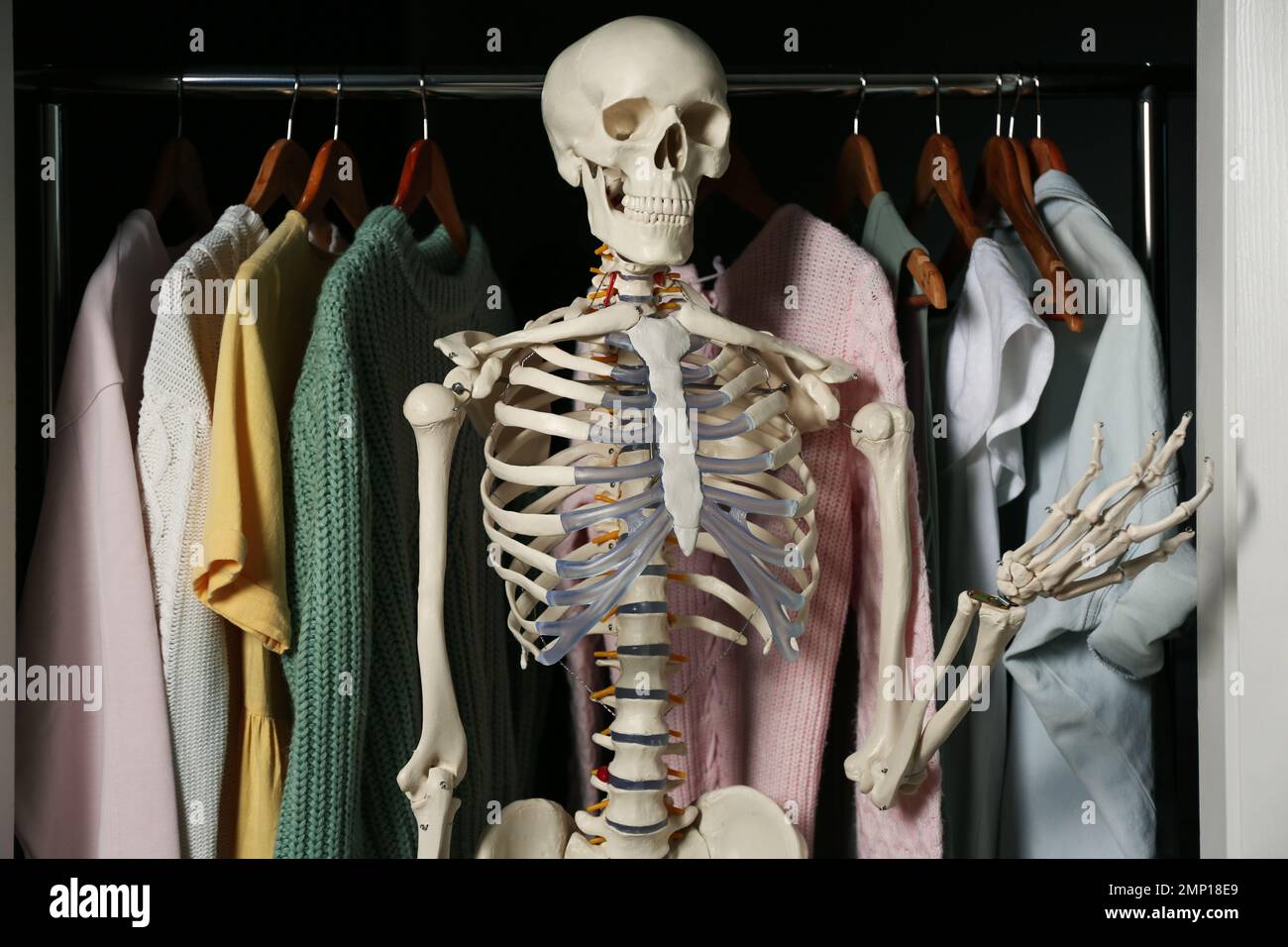 Skeleton outfit hi-res stock photography and images - Alamy