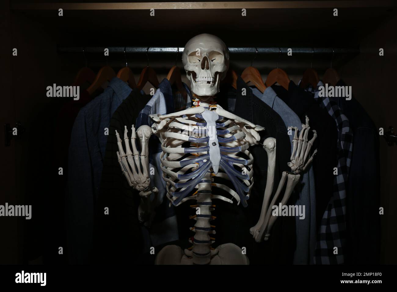 Fashion collection reveal hi-res stock photography and images - Alamy