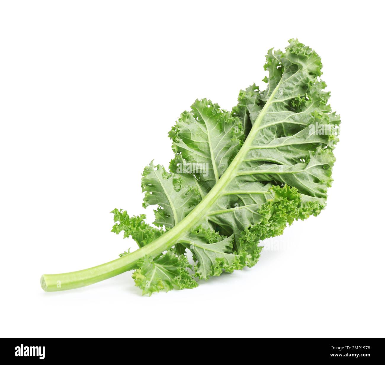 Fresh green kale leaf isolated on white Stock Photo - Alamy