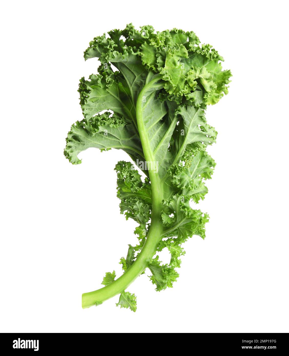 Fresh green kale leaf isolated on white Stock Photo - Alamy