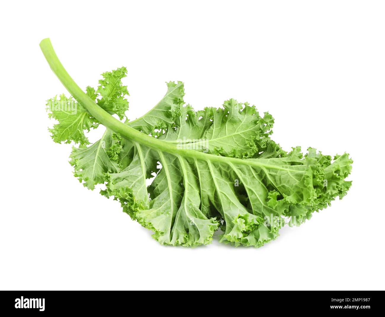 Fresh green kale leaf isolated on white Stock Photo - Alamy