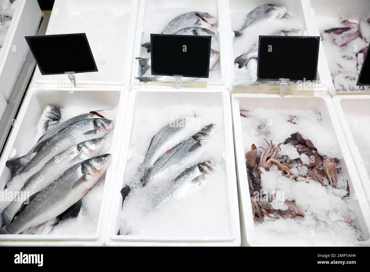 Fresh fish on display with ice at wholesale market Stock Photo - Alamy