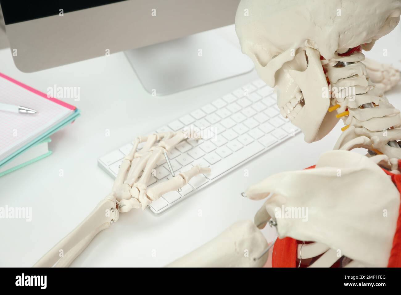 Human skeleton at table in office, closeup Stock Photo - Alamy
