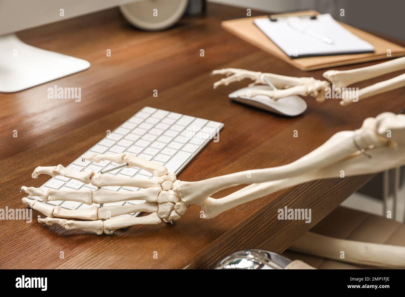 Human skeleton at table in office, closeup Stock Photo - Alamy