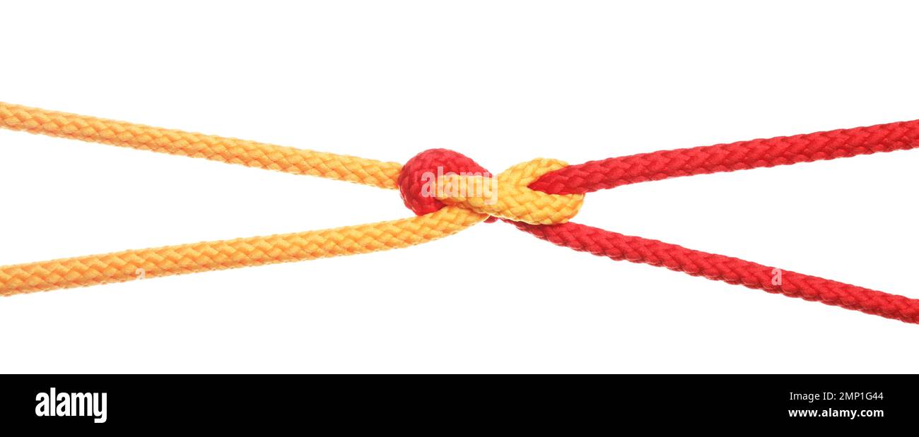 Colorful ropes tied together with knot isolated on white. Unity concept ...