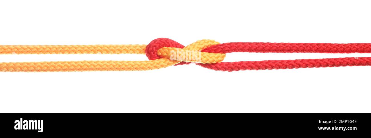 Colorful ropes tied together with knot isolated on white. Unity concept ...