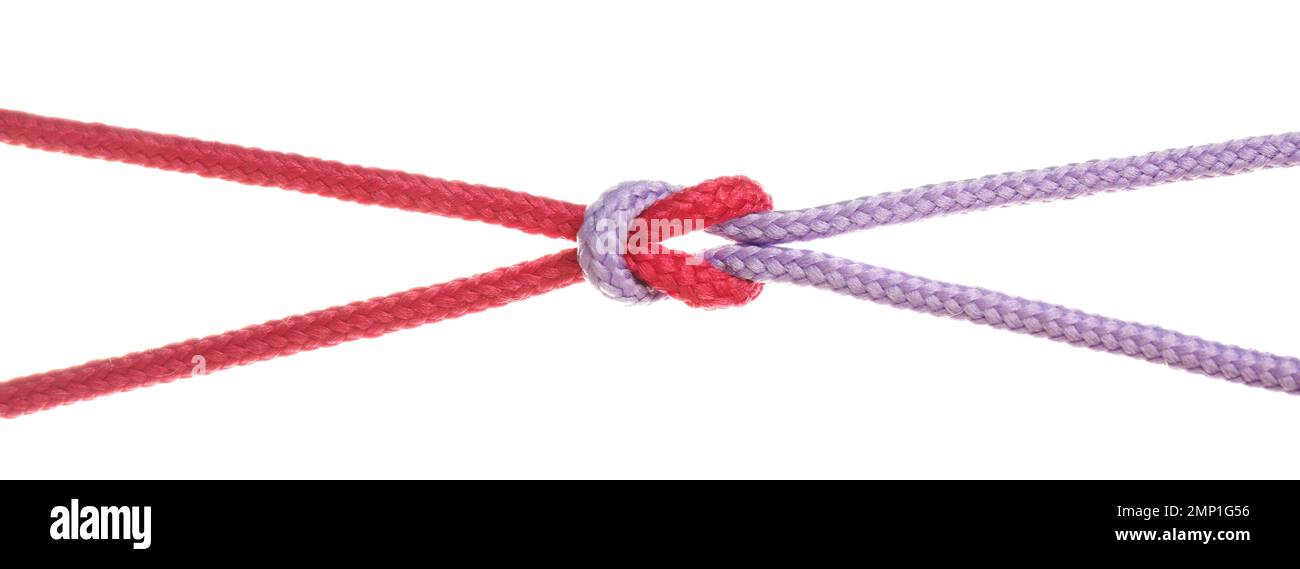 Colorful ropes tied together with knot isolated on white. Unity concept ...