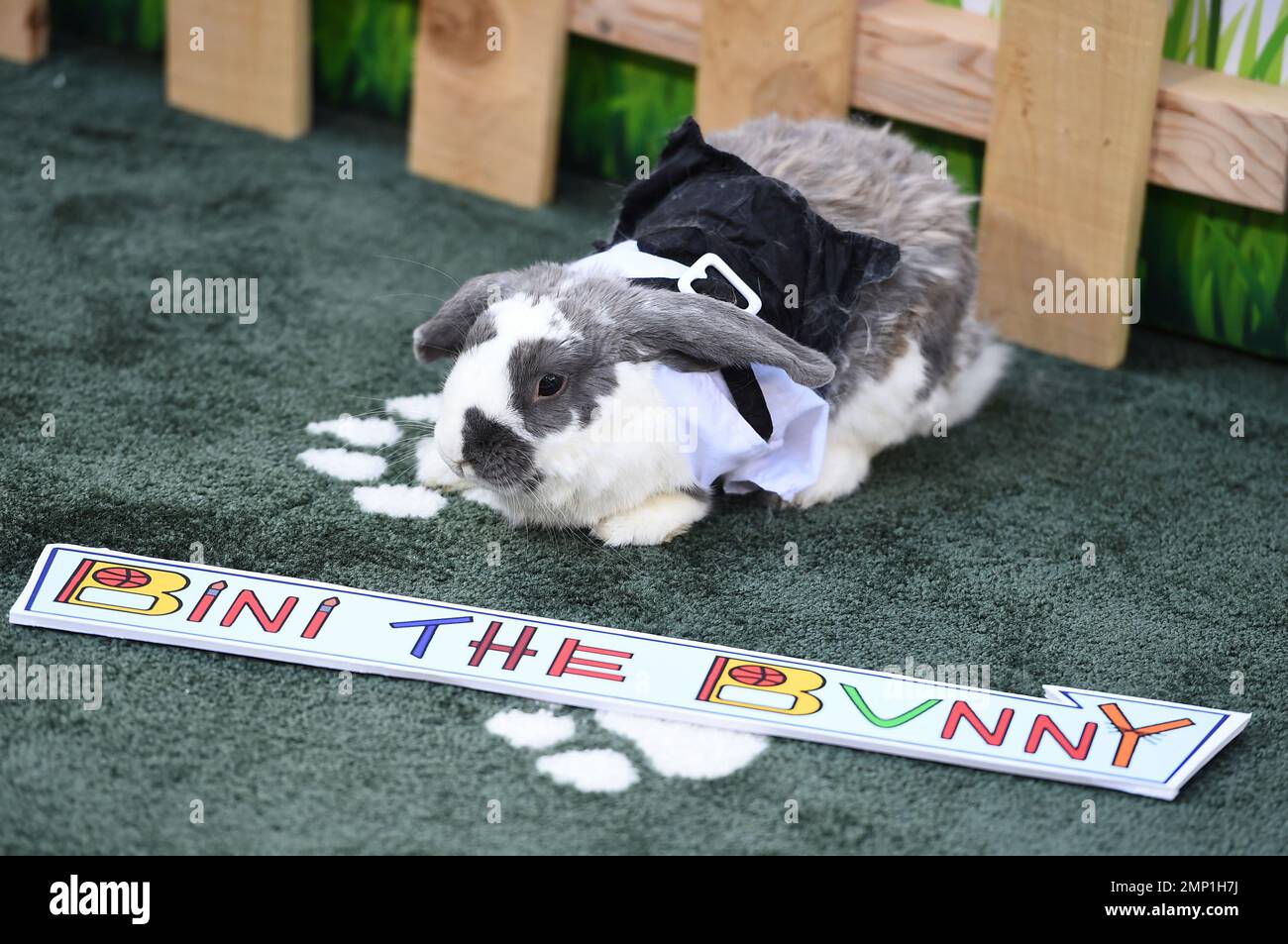 Bini The Bunny arrives at the world premiere of "Peter Rabbit" at The ...