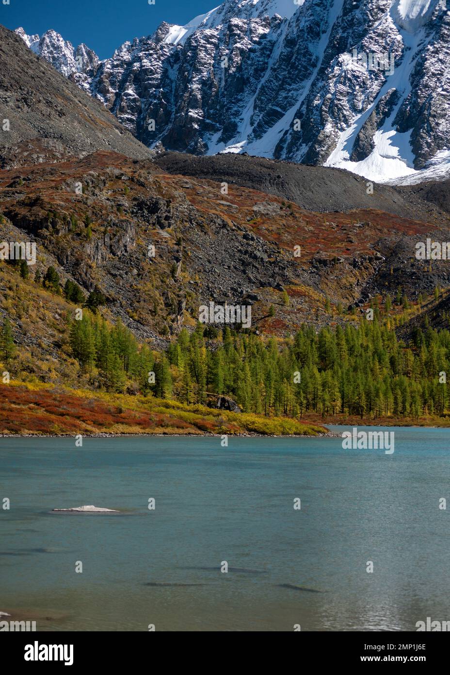 Forest trees grow on stone slopes under mountains with glaciers and ...