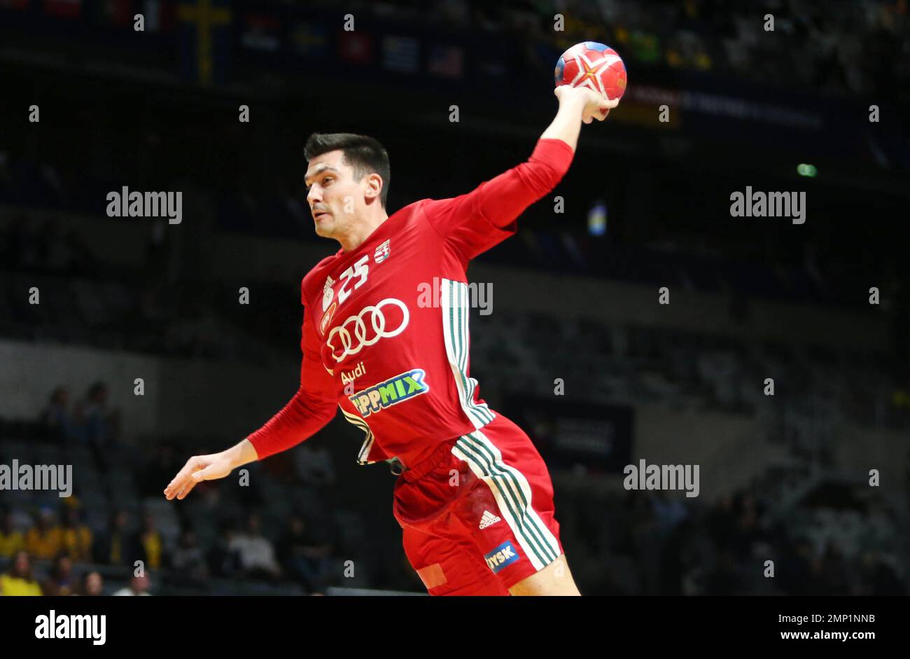 Pedro Rodriguez Alvarez of Hungary during the IHF Men's World ...