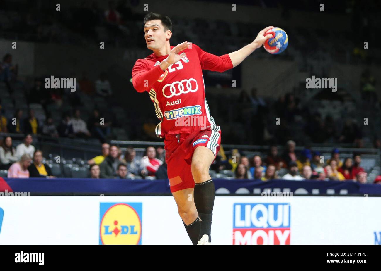 Pedro Rodriguez Alvarez of Hungary during the IHF Men's World ...