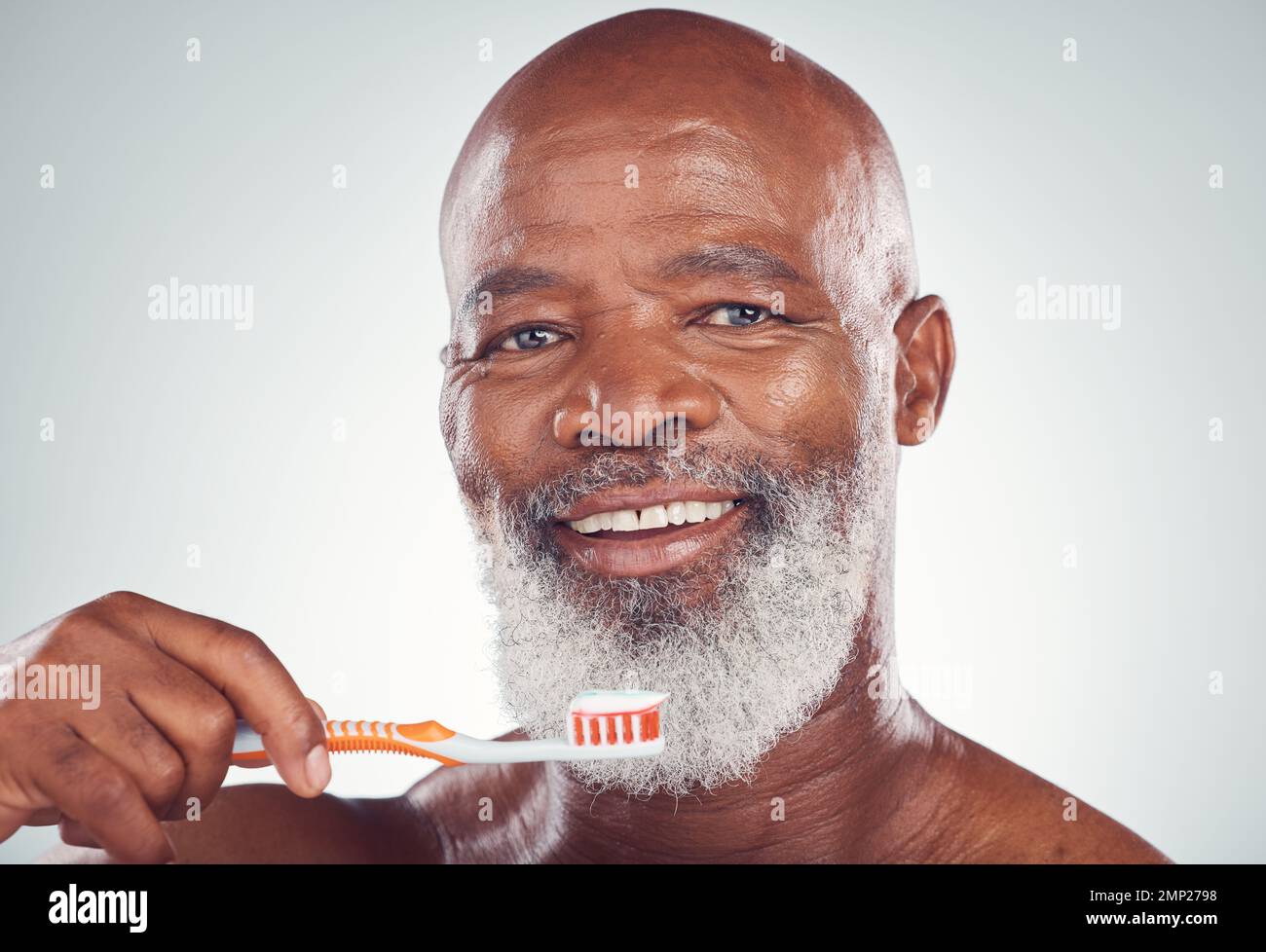 Dental, senior man portrait and toothbrush for oral hygiene in a studio for wellness and health ...