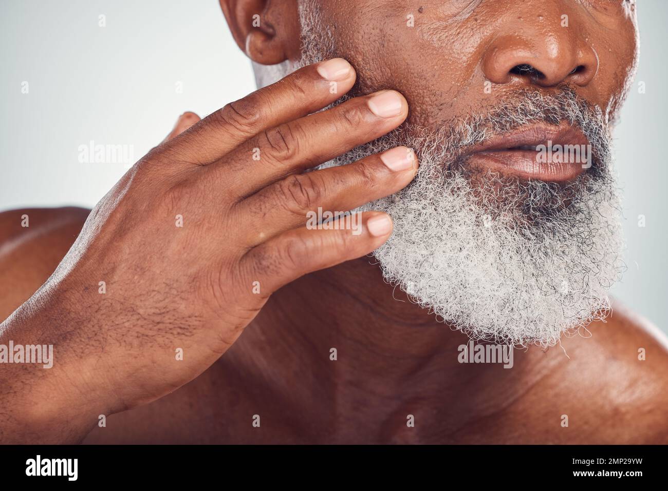 Hand, beard and face with a senior black man grooming in studio on a ...
