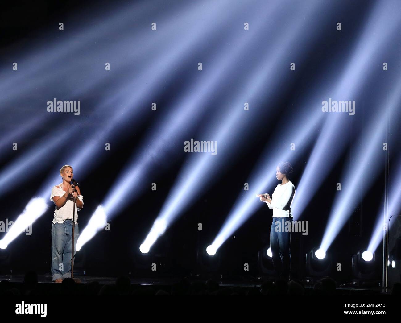 Jenese Portee signs as Pink performs "Wild Hearts Can't Be Broken" at ...