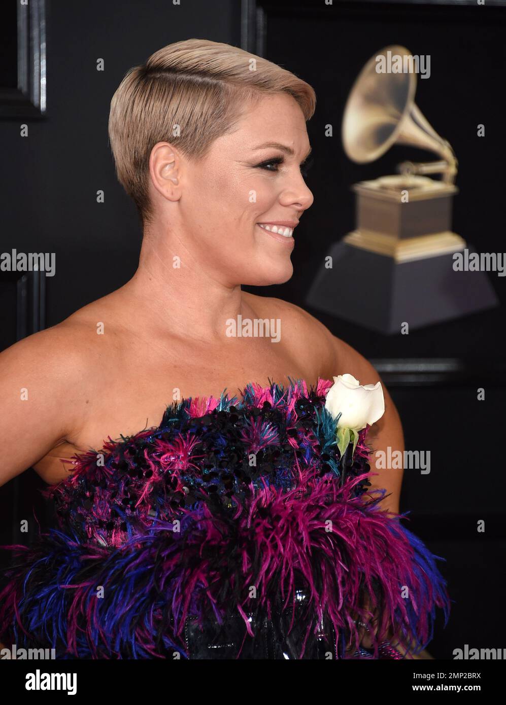 Pink arrives at the 60th annual Grammy Awards at Madison Square Garden ...