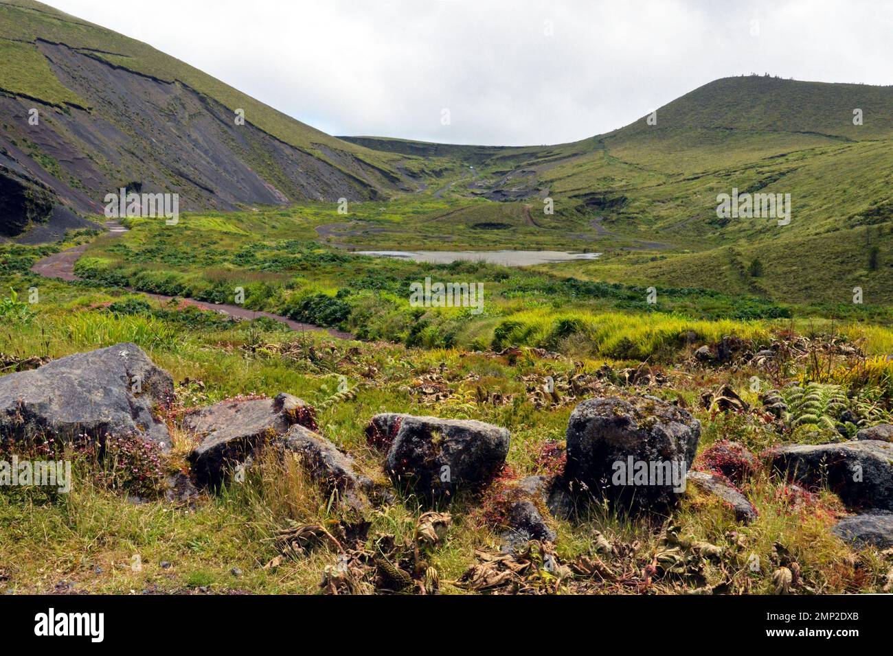 Portugal, Azores Islands, Sao Miguel: typical landscape in the west of ...