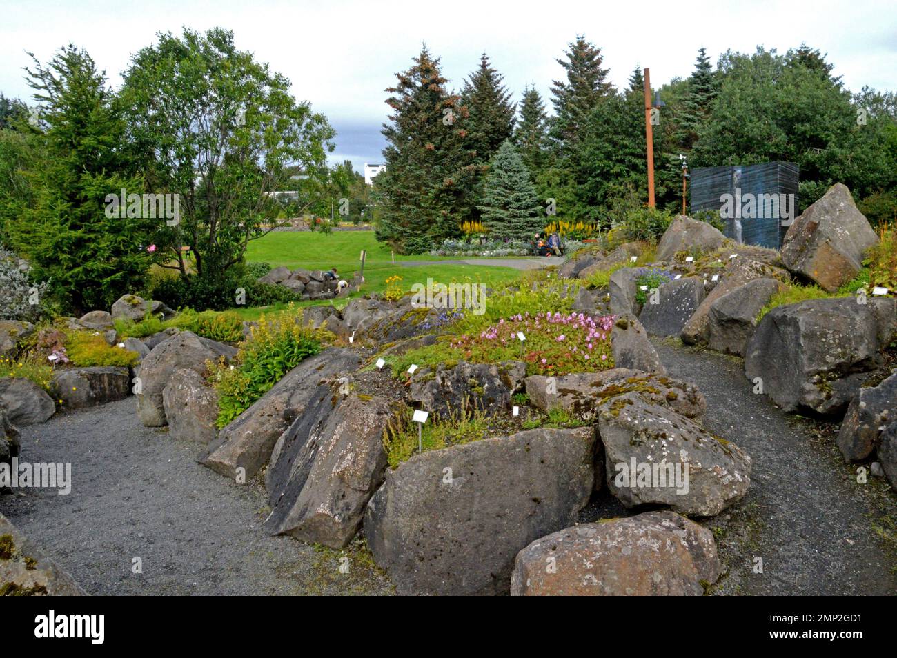 Iceland, Reykjavik: the rock garden in the city's botanical garden ...
