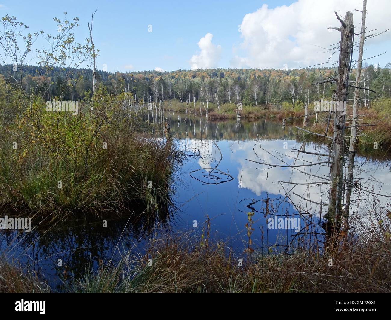 Preserved area hi-res stock photography and images - Alamy