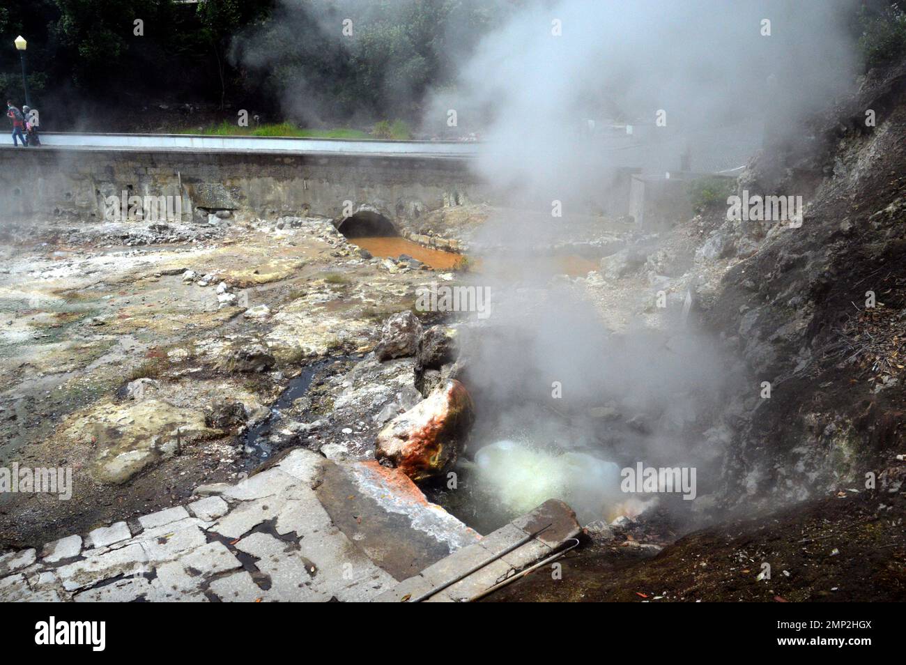 Portugal, Azores Islands, Sao Miguel, Furnas: fumirolas and hot springs ... Portugal, Azores Islands, Sao Miguel, Furnas: fumirolas and hot springs ...