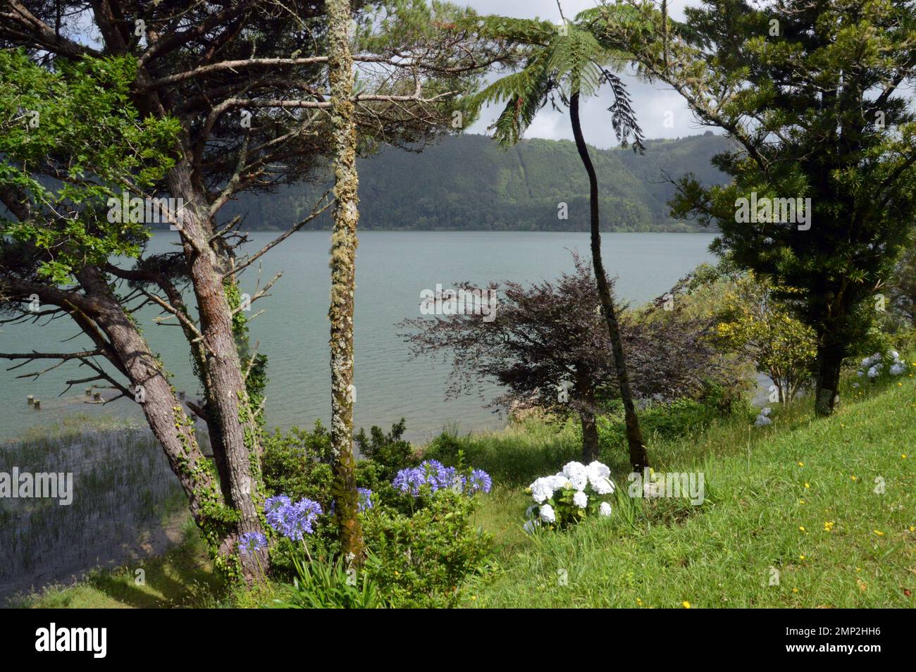Portugal, Azores Islands, Sao Miguel, Furnas: Lagoa das Furnas (Furnas ...