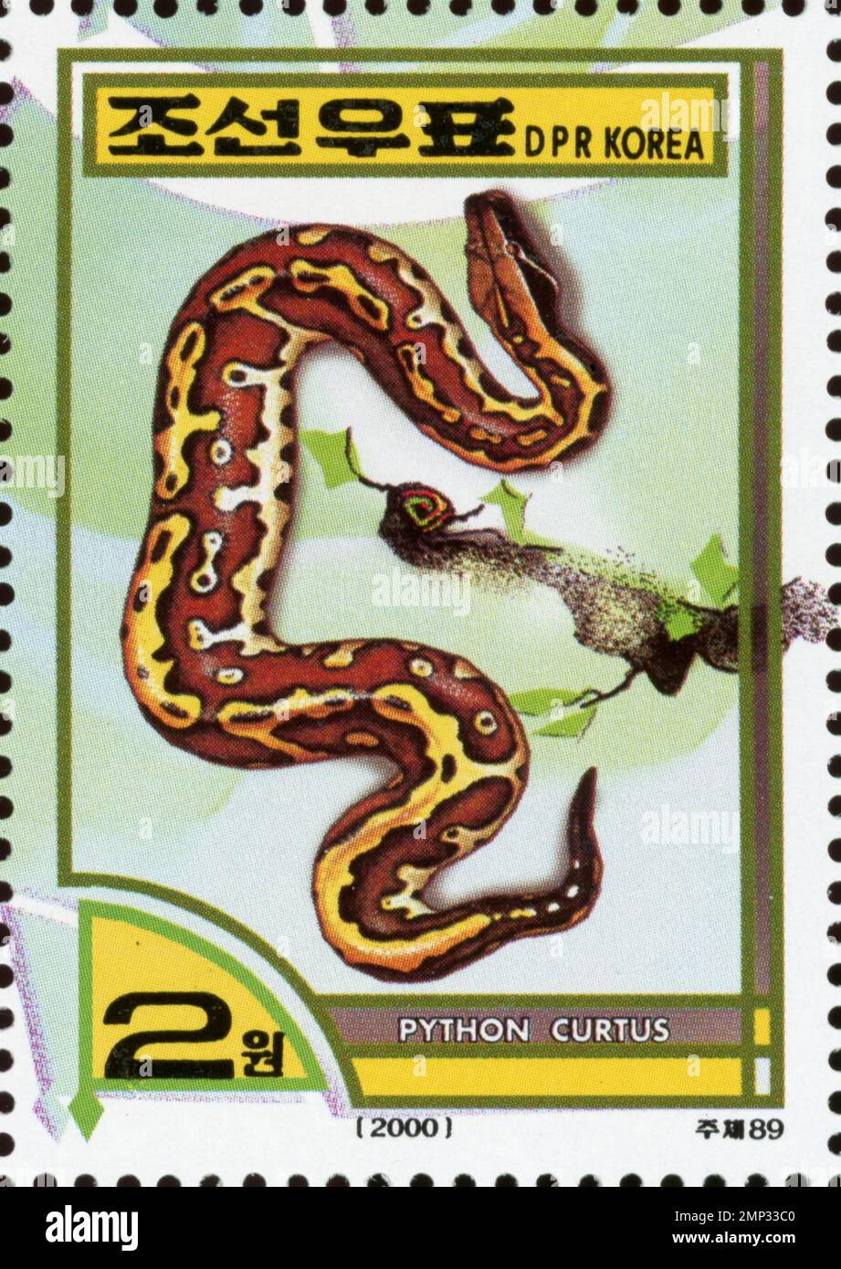 North Korean postage stamp from 2000 featuring a Python Curtus snake ...