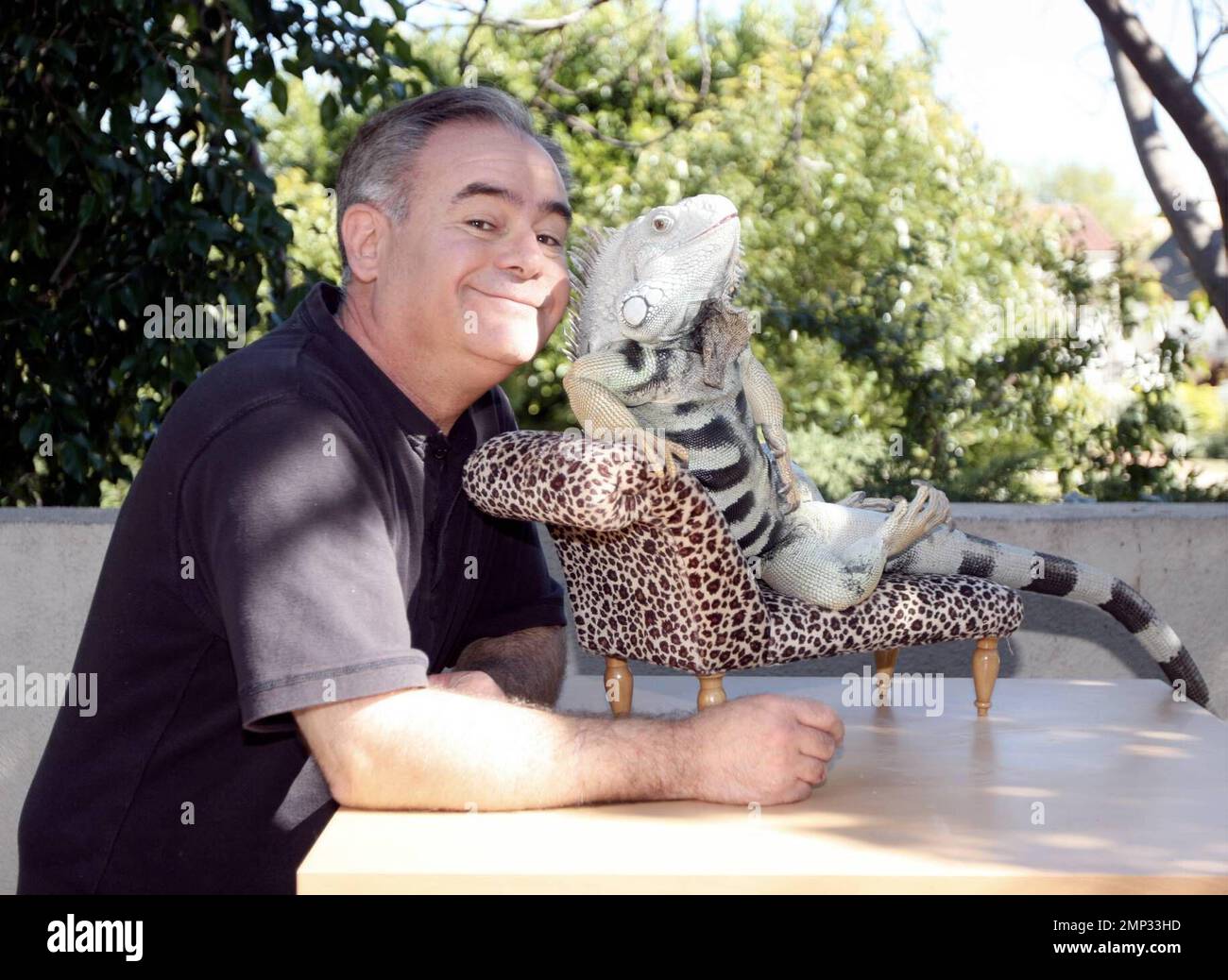 Henry lizardlover hi-res stock photography and images - Alamy