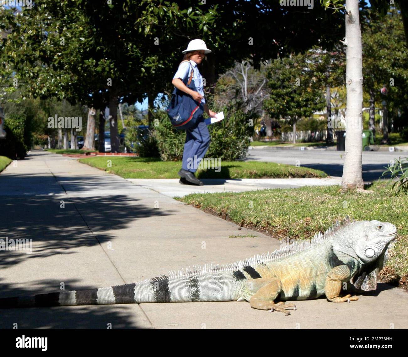 Exclusive!! Henry Lizardlover snuggles up with some of his lizard ...