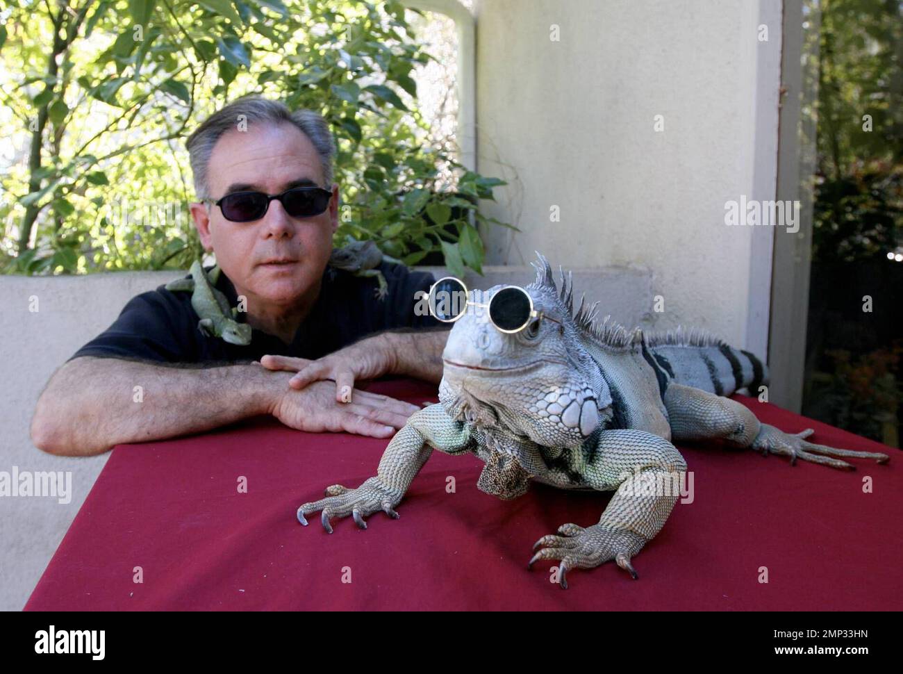 Exclusive!! Henry Lizardlover snuggles up with some of his lizard ...