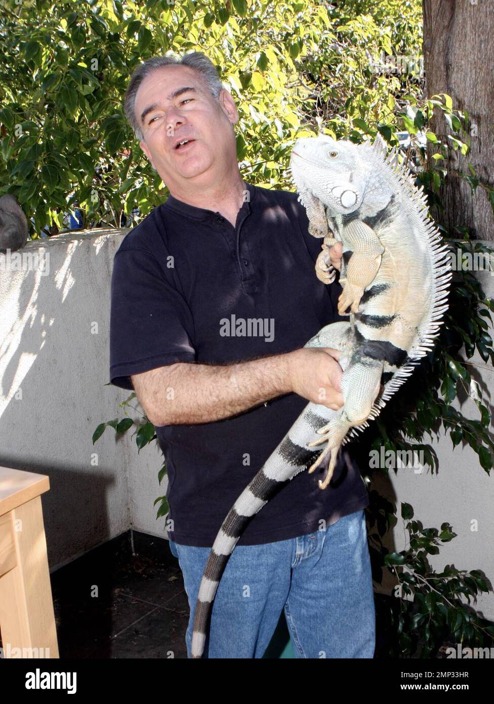 Exclusive!! Henry Lizardlover snuggles up with some of his lizard ...