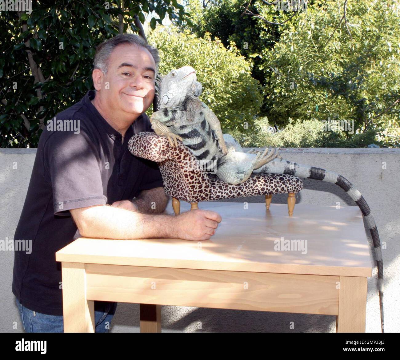 Henry lizardlover hi-res stock photography and images - Alamy