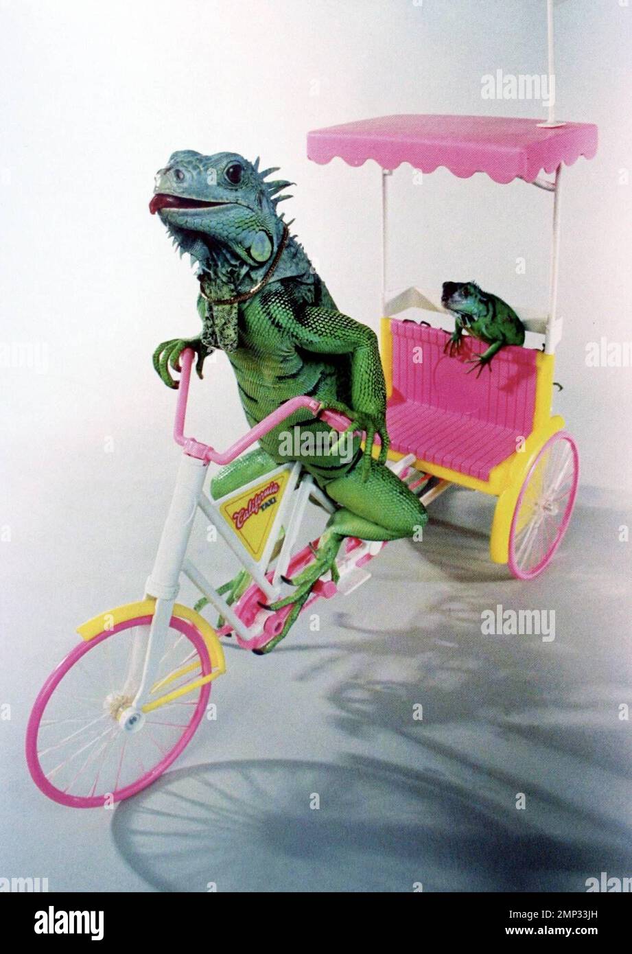 Exclusive!! Henry Lizardlover snuggles up with some of his lizard ...