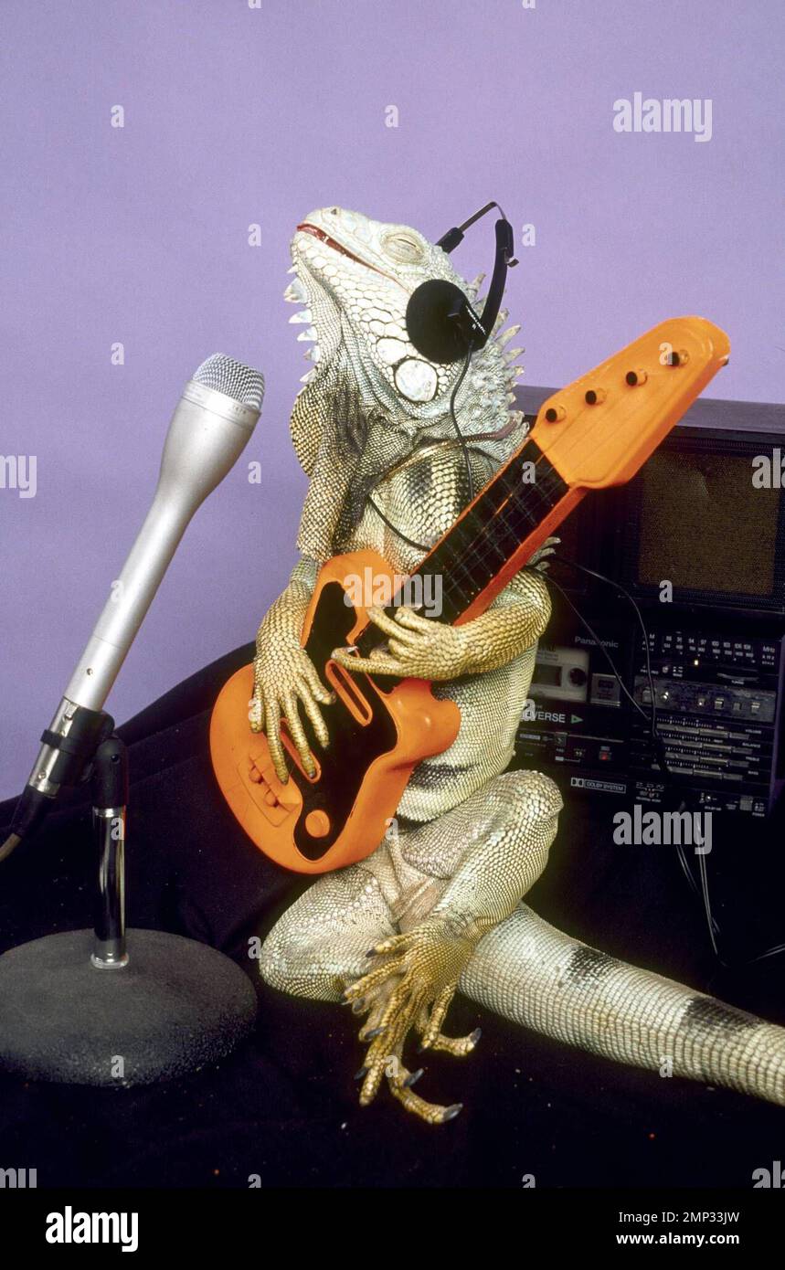 Exclusive!! Henry Lizardlover snuggles up with some of his lizard ...