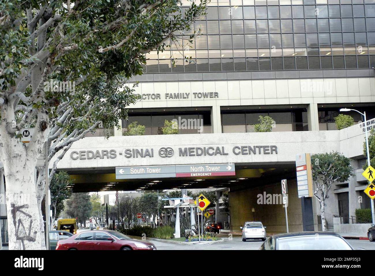 Exclusive!! David Hasselhoff's ex wife, actress Pamela Bach, visited Cedars Sinai hospital over ...
