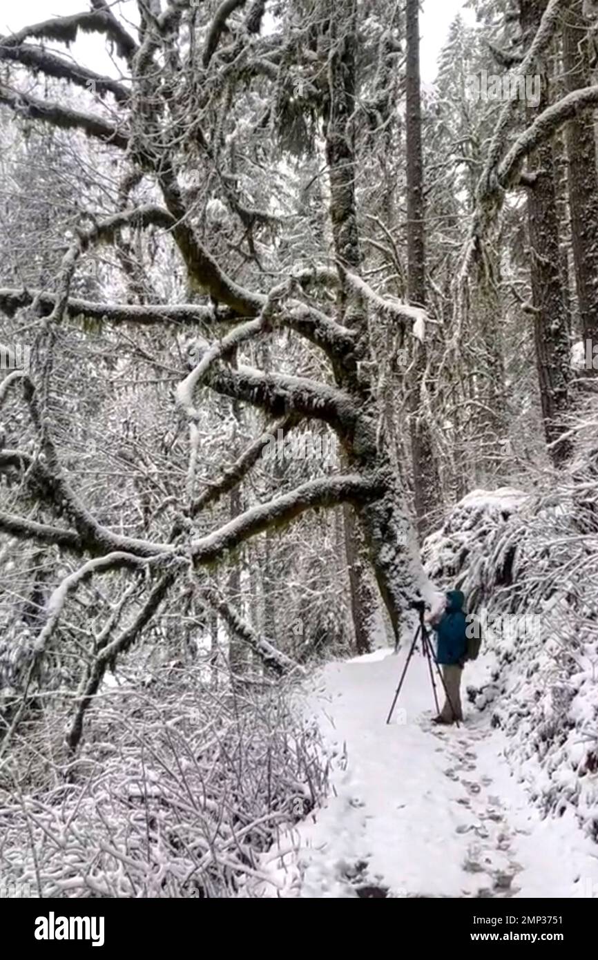 Photographer intent on shooting a winter scene Stock Photo - Alamy