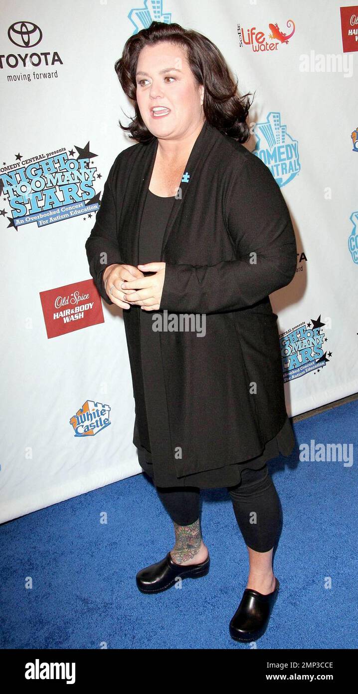 Comedienne Rose O'Donnell at Comedy Central's Night of Too Many Stars ...