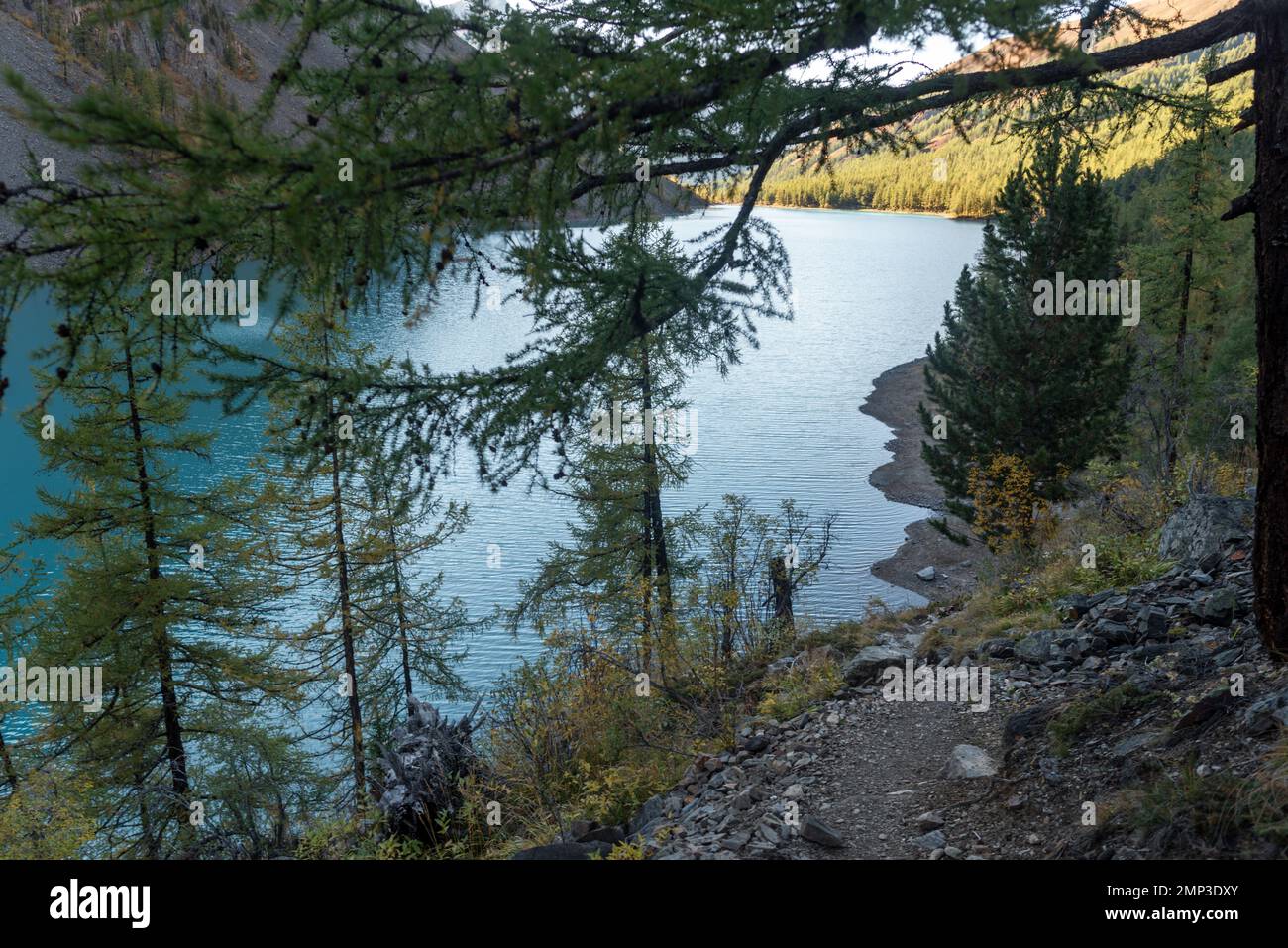 A steep path on a stone shore in the trees of the forest against the ...