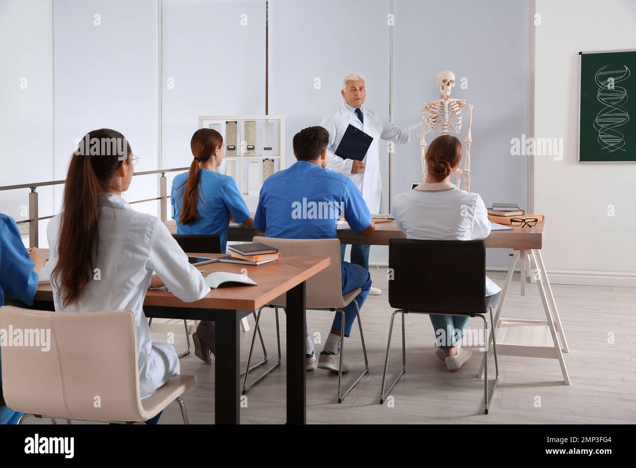 Medical students and professor studying human skeleton anatomy in ...