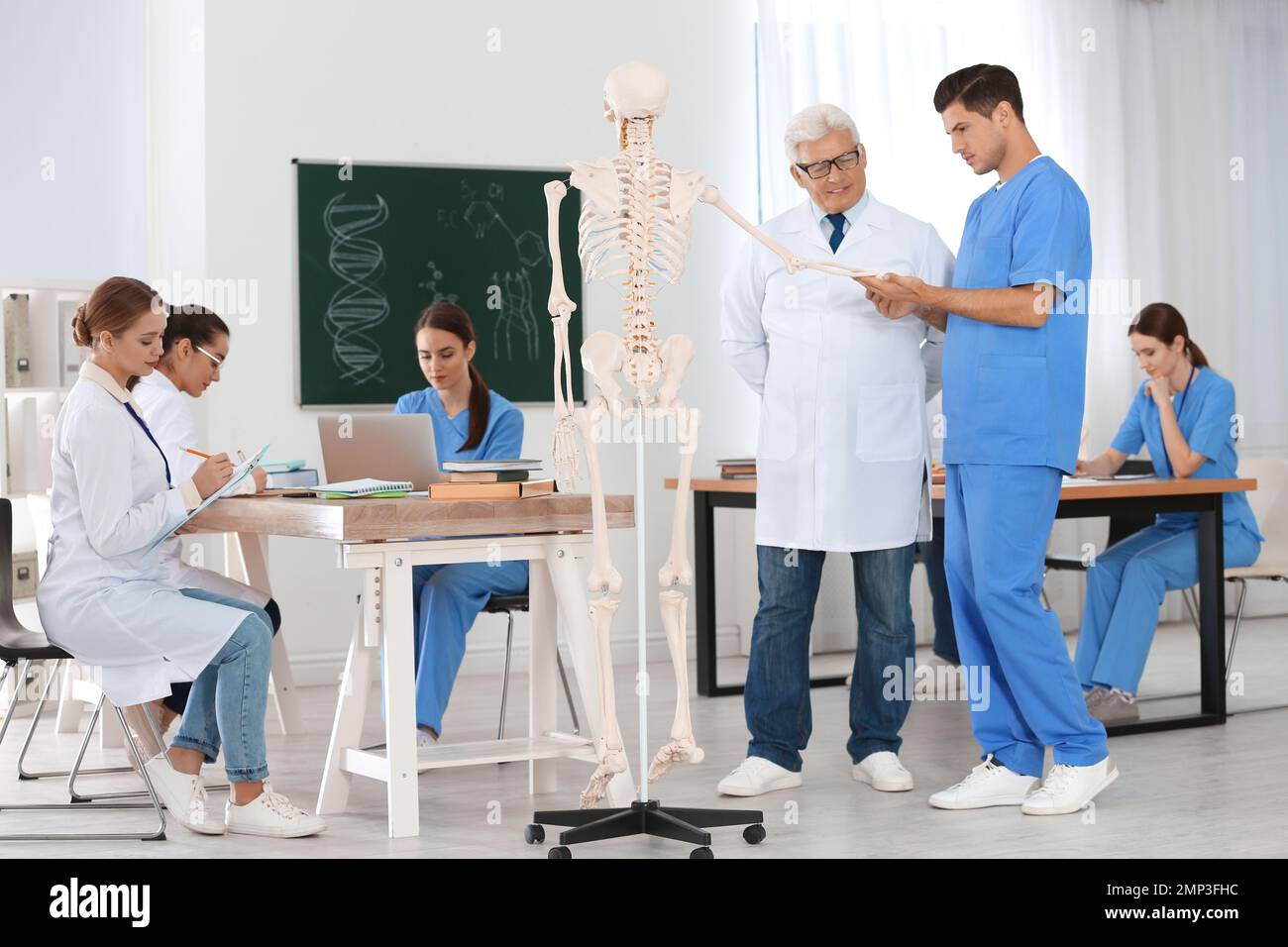 Medical students and professor studying human skeleton anatomy in ...