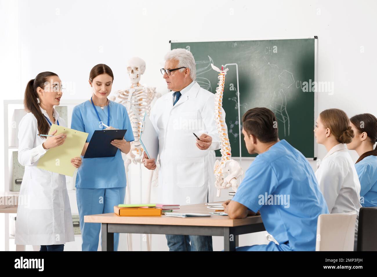 Medical students and professor studying human spine structure in ...