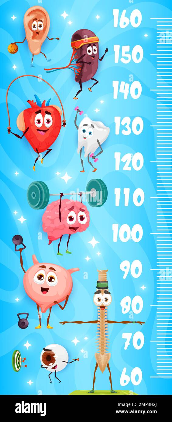 Kids height chart ruler cartoon human organs sportsman characters ...
