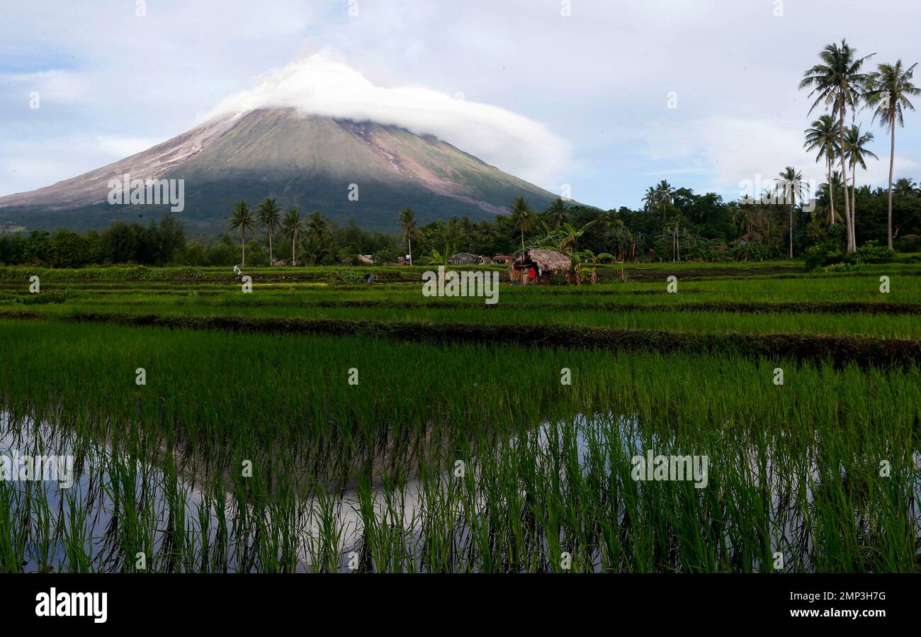 Mayon volcano is reflected on a rice field Thursday, Jan. 25, 2018 as ...