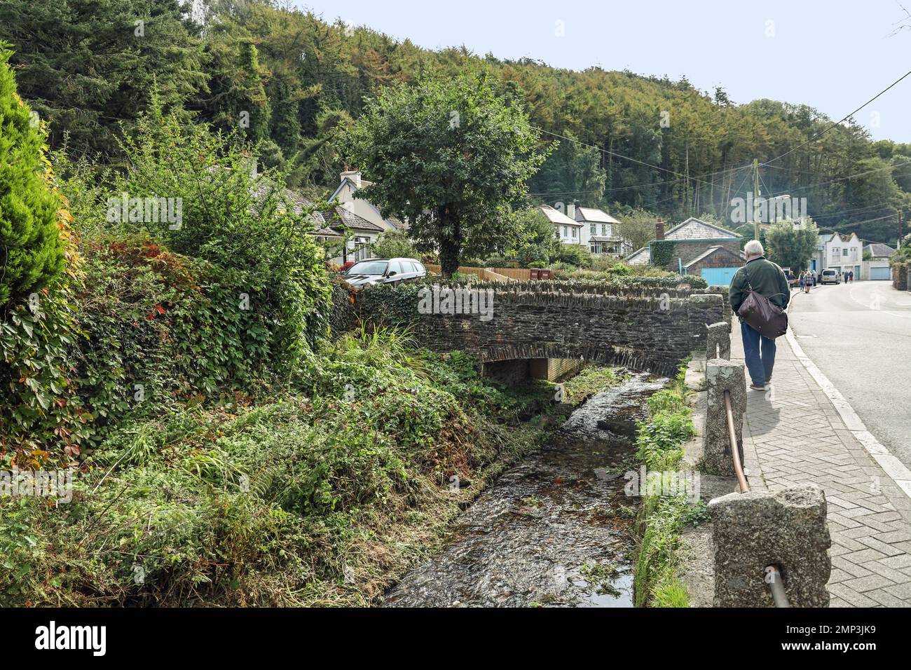 The River Pol runs from the hamlet of Crumplehorn down the Coombe and ...