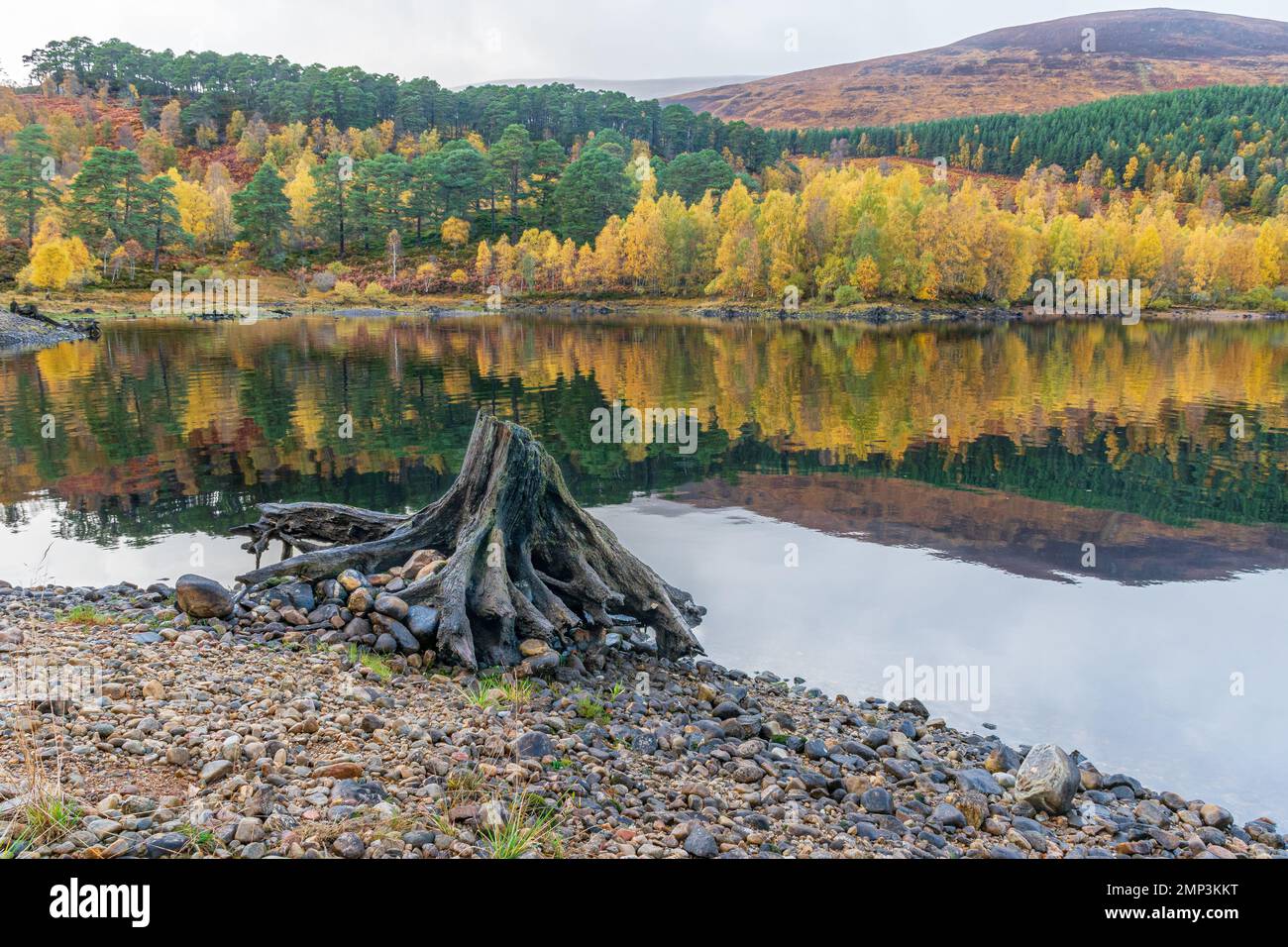 Loch Beinn a Mheadhoin, Glen Affric, Scotland, United KIngdom Stock ...