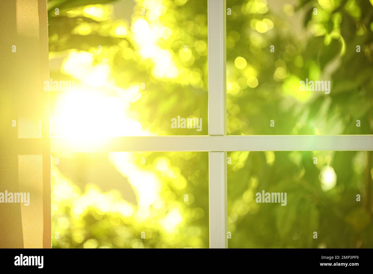 Beautiful view through window on garden in morning Stock Photo - Alamy