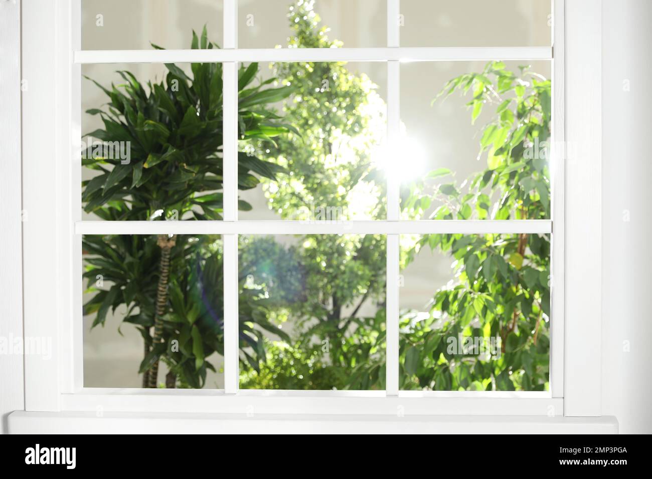 Beautiful view through window on garden in morning Stock Photo - Alamy
