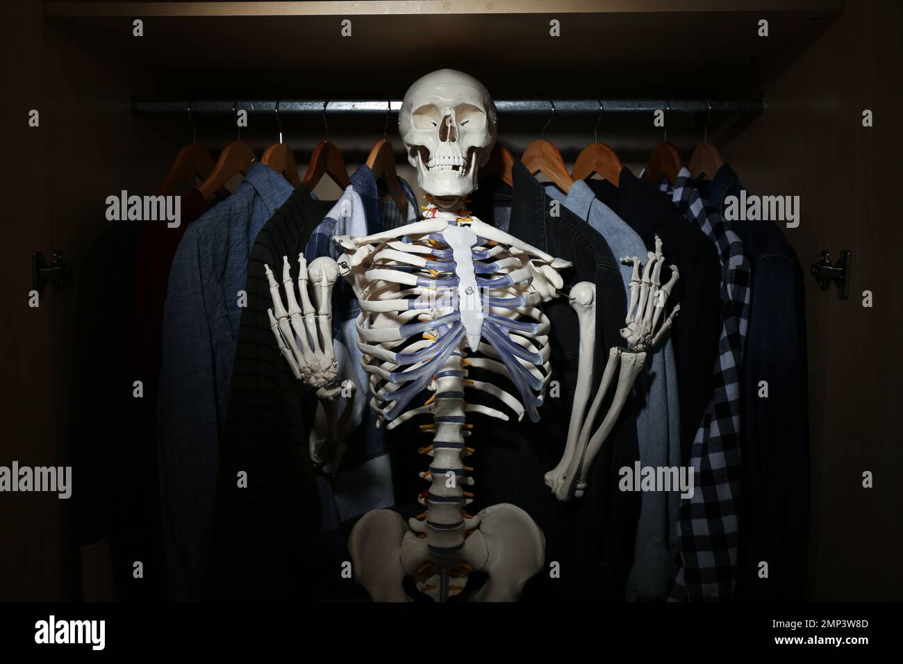 Artificial human skeleton model among clothes in wardrobe Stock Photo ...
