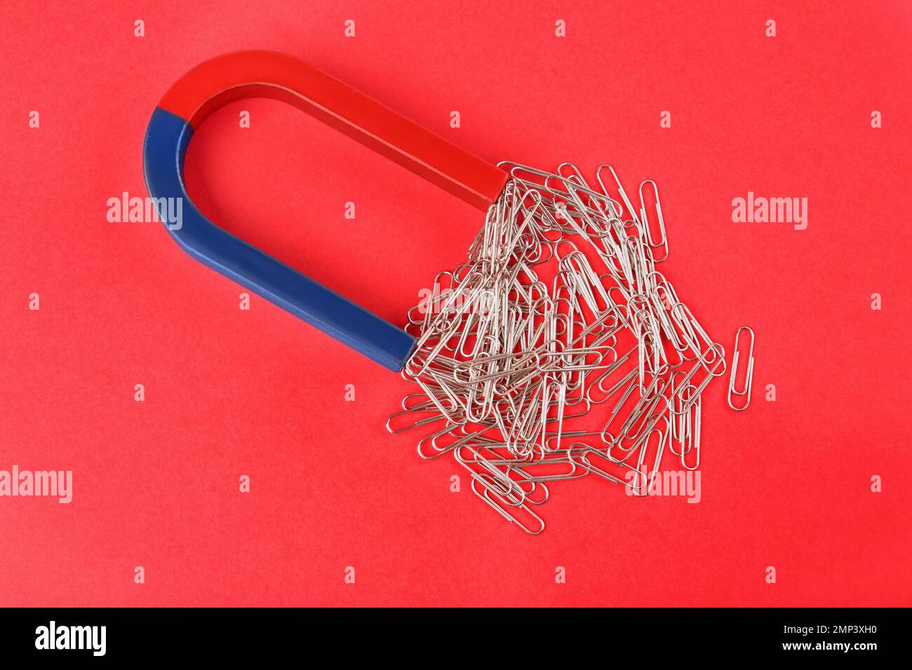 Magnet attracting paper clips on red background, flat lay Stock Photo ...