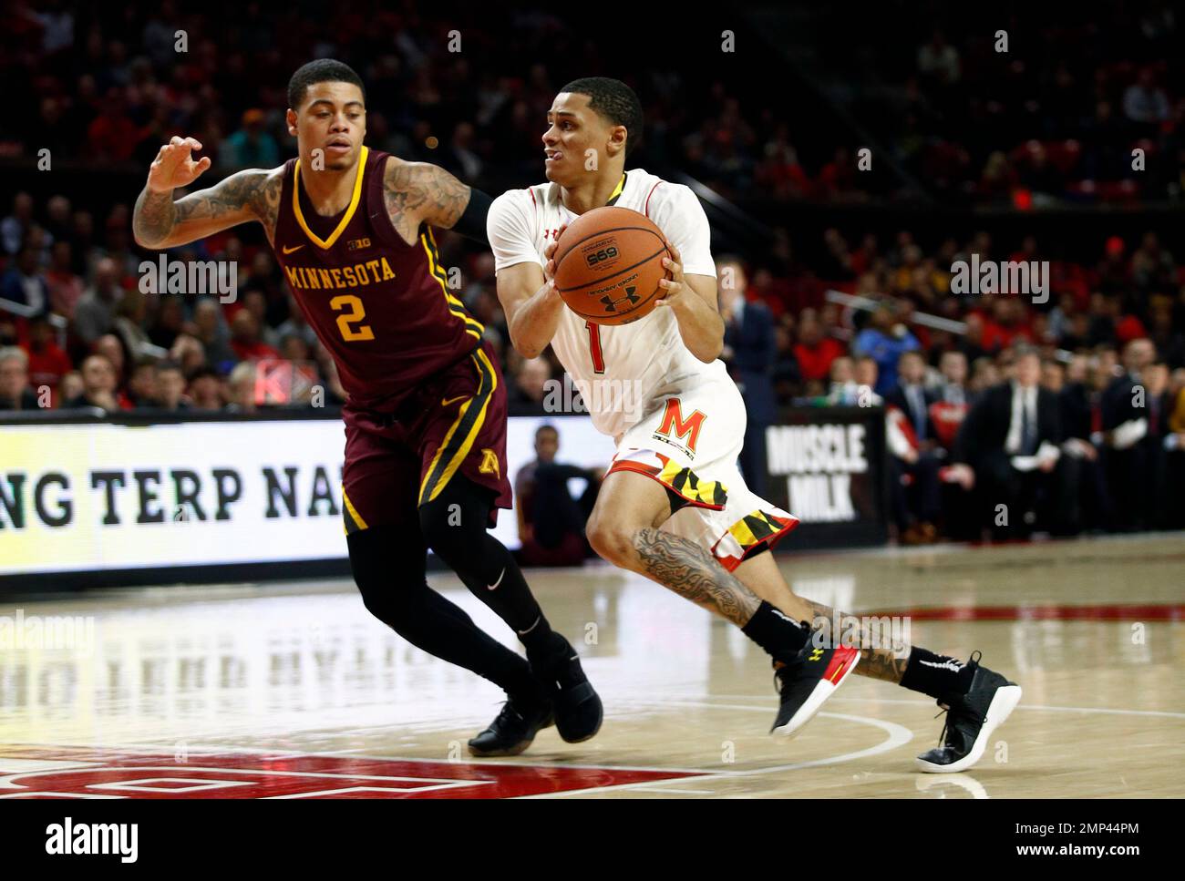 Maryland guard Anthony Cowan, right, drives against Minnesota guard ...